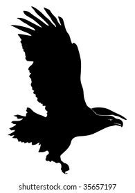 2872 Sea Eagle Stock Vectors Images And Vector Art Shutterstock