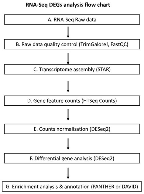 Typical Pipeline For Rna Seq Data Analysis For Differential Gene