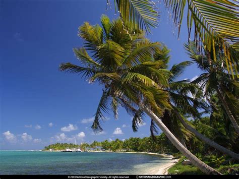 Belize Beach Wallpapers Top Free Belize Beach Backgrounds