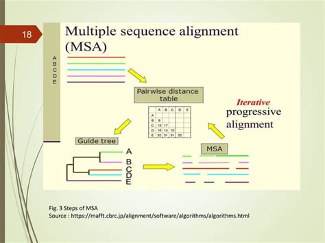 sequence homology search and multiple sequence alignment 1 pptx