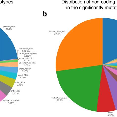 The Distribution Of Non Coding RNA Biotypes A For The Entire Genome B Download Scientific