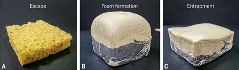 Simulation As A Tool For Biopolymers Design Science