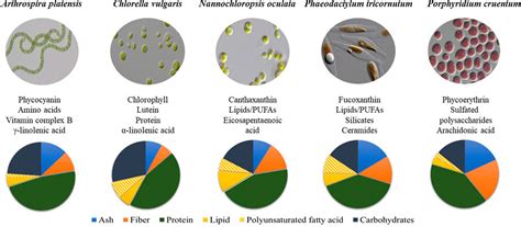 Frontiers Use Of Algae As Food Ingredient Sensory Acceptance And