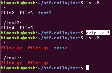 Linux Gzip Command Tutorial For Beginners 7 Examples