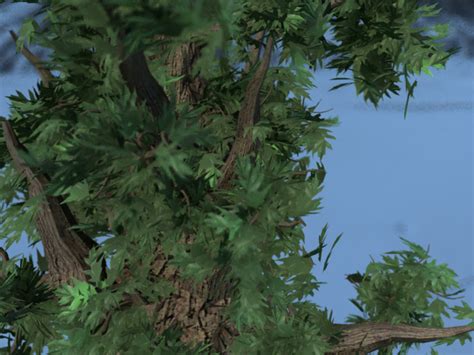 Treegenerator Gallery