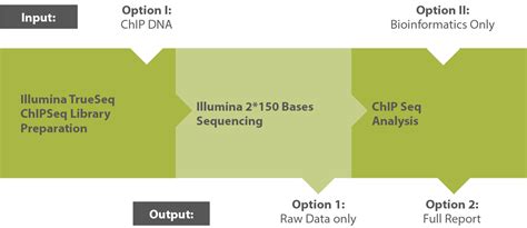 Chip Sequencing Microsynth Ch