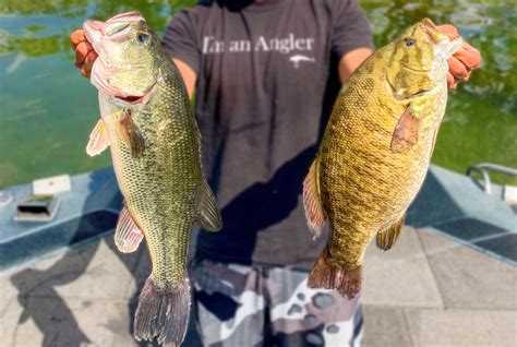 Huge Louisiana Bass Ranks Among States Top 10 Ever Caught Outdoor Life
