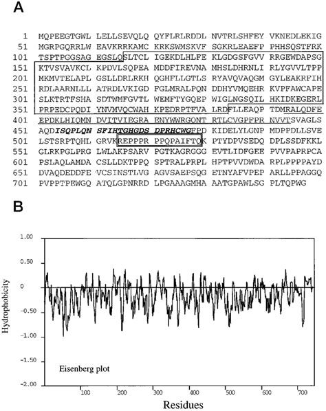 The Deduced Amino Acid Sequence Of Ack 2 And Its Primary Structural
