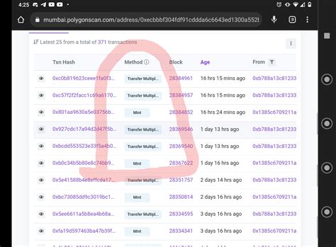 Incorrect Blockchain Reward Transactions Including Duplicate
