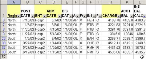 Excel S Autofilter Function Find Subsets Of Data