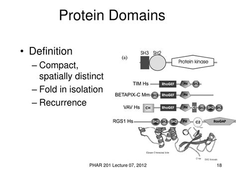 Ppt Understanding Sequence Structure And Function Relationships And The Resulting Redundancy
