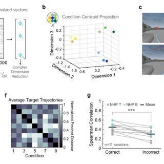 Neural Sequences Represent Working Memory Content A Representation Of Download Scientific