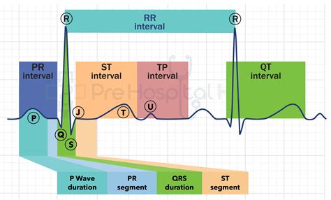 Qt And Qtc Interval Prehospital Hub