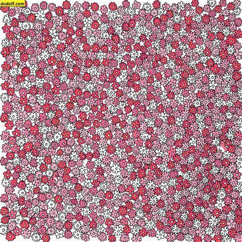 Визуальный тест найдите звезды на изображении чтобы узнать ловкий ли вы Infobae