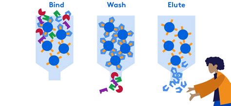 Protein Chromatography The Mcat Webinar
