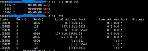 【重置实例了】急！急！ssh更改端口失败后连不上了 开发调优 Linux Do