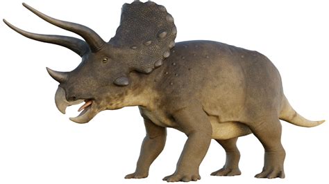 Triceratops Wip By Jqarts On Deviantart