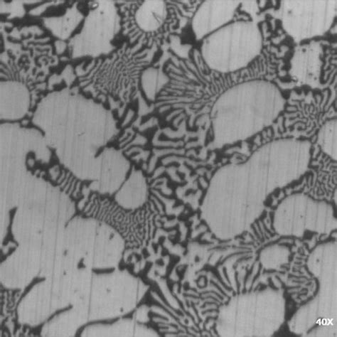 Sem Micrographs Of Sample S4 Transition Zone Download Scientific Diagram