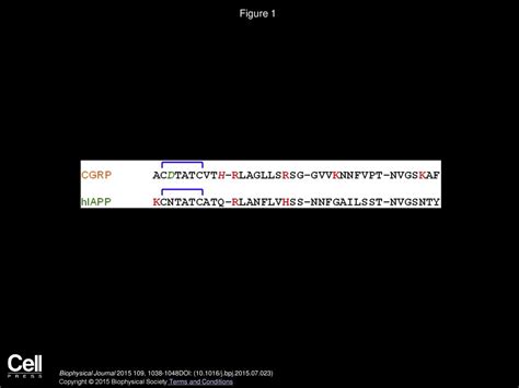 Volume 109 Issue 5 Pages September 2015 Ppt Download