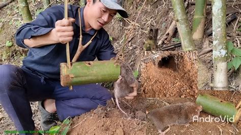 Today L Made A Bamboo Rat Trap Youtube