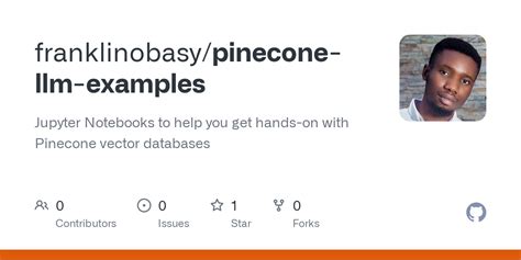 Github Franklinobasypinecone Llm Examples Jupyter Notebooks To Help You Get Hands On With