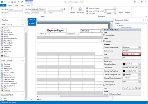 Expense Report Input Control Tools