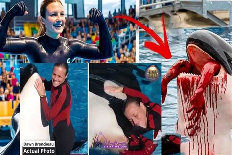 بیوگرافی جسیکا ردکلیف و ماجرای حمله نهنگ قاتل سیر تا پیاز