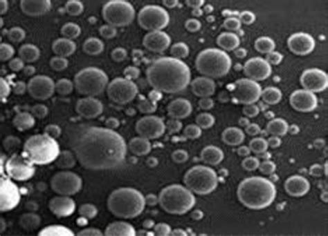 Structure Of Microsphere Download Scientific Diagram
