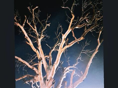 No Caption ️ Shuats Srawan Kumar