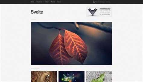 Minimalist Wp Themes From Themecobra Blog Platforms Simple Blog Web