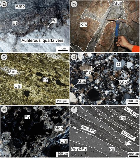 Photographs Showing The Alteration And Mineralization In Representative