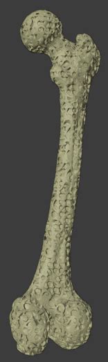 Confine Lattice Femur Bone Blender Market