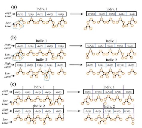 Example Of Multi Gene Genetic Programming Recombination Operators
