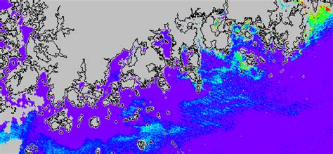 Figure 7 From Red Tide Detection Technique By Using Multi Temporal Goci
