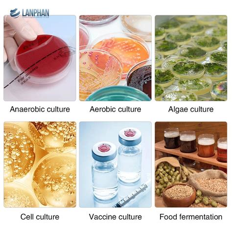 05l 1l 5lbenchtop Stirred Tank Bioreactor Lab Bioreactor Fermenter L0l Benchtop Stirred Tank