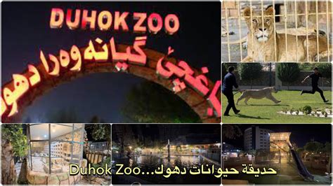 حديقة حيوانات دهوكduhok Zoo Youtube