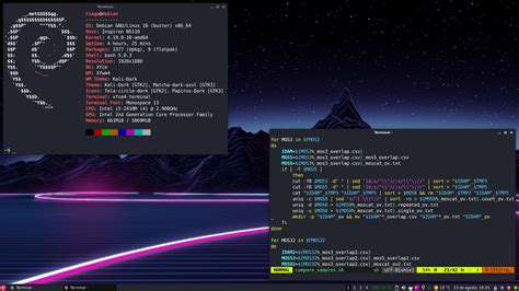 Debian XFCE Simple Effective Pleasant R UsabilityPorn