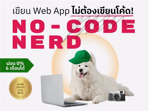 Nocode Nerd Bcd Academy