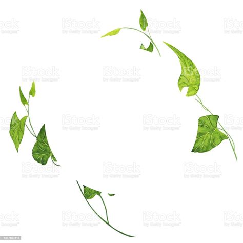 아침 영광의 가지와 프레임은 흰색 배경에 고립 된 잎 수채화 손 그리기 그림 인쇄 및 카드 템플릿입니다 등정에 대한 스톡 벡터 아트 및 기타 이미지 Istock