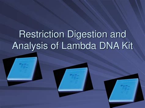 Ppt Restriction Digestion And Analysis Of Lambda Dna Kit Powerpoint