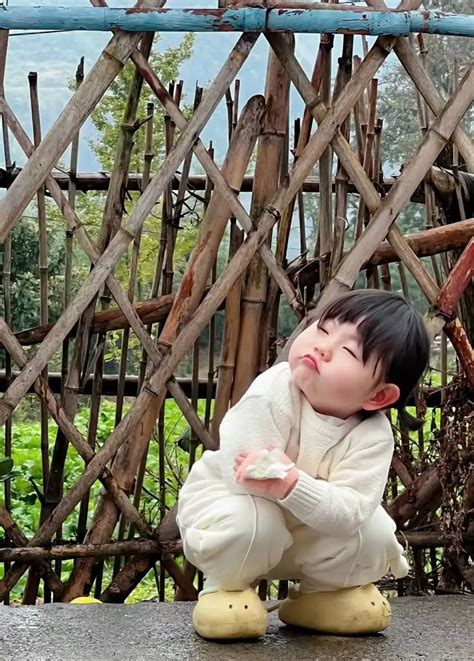 Ghim của MAI trên นอนนนนน Yaoyao Động vật Hình ảnh Con gái