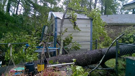 The Tree By Hurricanescreamer On Deviantart