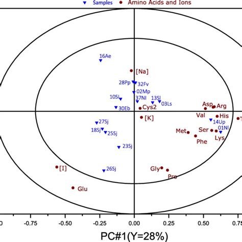 Correlation Loading Plot From A PLSR Analysis Of GC Data Dimensions 1 Download Scientific