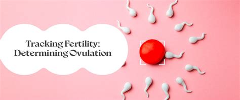 Tracking Fertility: Determining Ovulation - FertilitySmarts