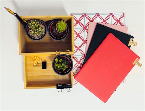 Classifyとcategorise Categorize の違い 語学マニア Com