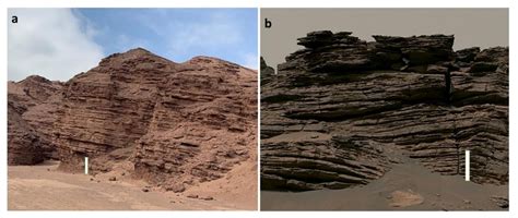 현 화성 탐사로버 장비로는 생명체 흔적 탐지 어려워 한국경제