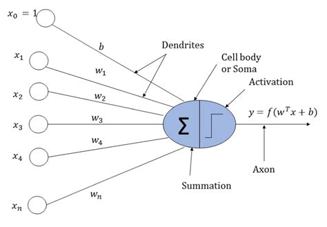 What Is Artificial Intelligence AI And Neural Networks NN