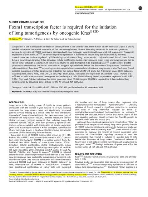 Pdf Foxm1 Transcription Factor Is Required For The Initiation Of Lung