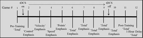 Depiction Of Training Schedule Download Scientific Diagram