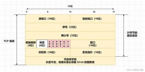 【tcp 协议】报文格式，数据可靠传输的机制（一） cat 1tcp传输数据格式 csdn博客